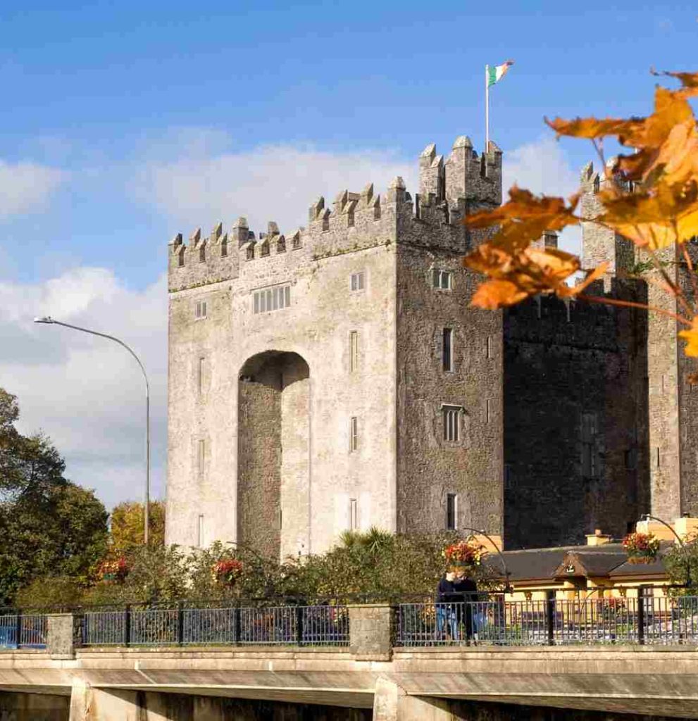 Family Activities | Things To Do Shannon | Shannon Springs Hotel