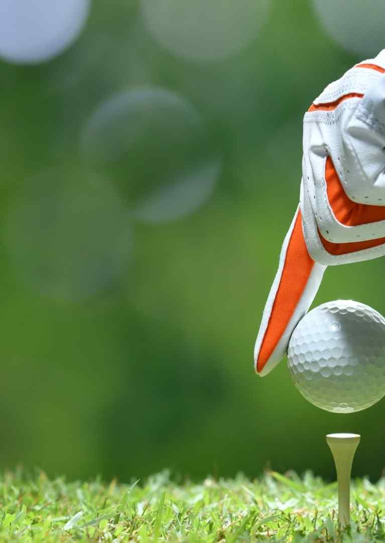 Shannon Golf Club | Things to Do | 4* Shannon Springs Hotel