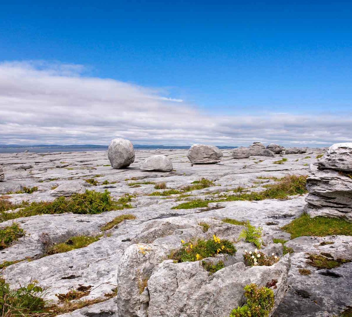 The Burren | Walking Trails Clare | 4 Star Shannon Springs Hotel