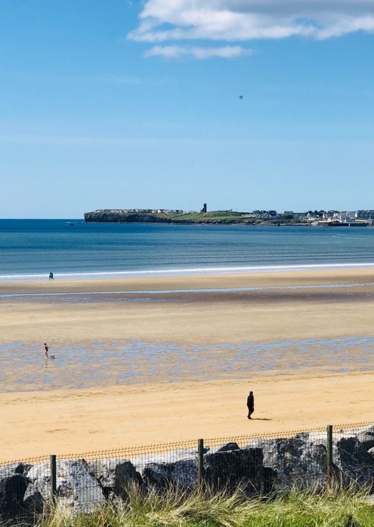 Family Activities | Things To Do Shannon | Shannon Springs Hotel